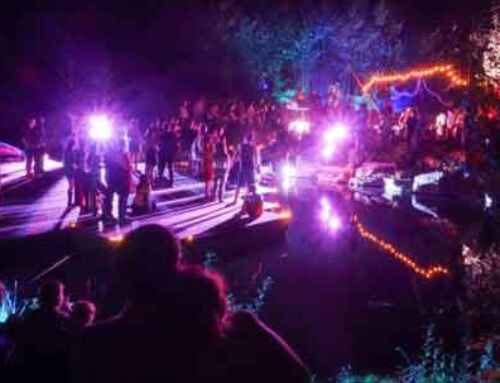 Dance First Member Spotlight on Dr. Birgitte Tan! – Conscious Dancer