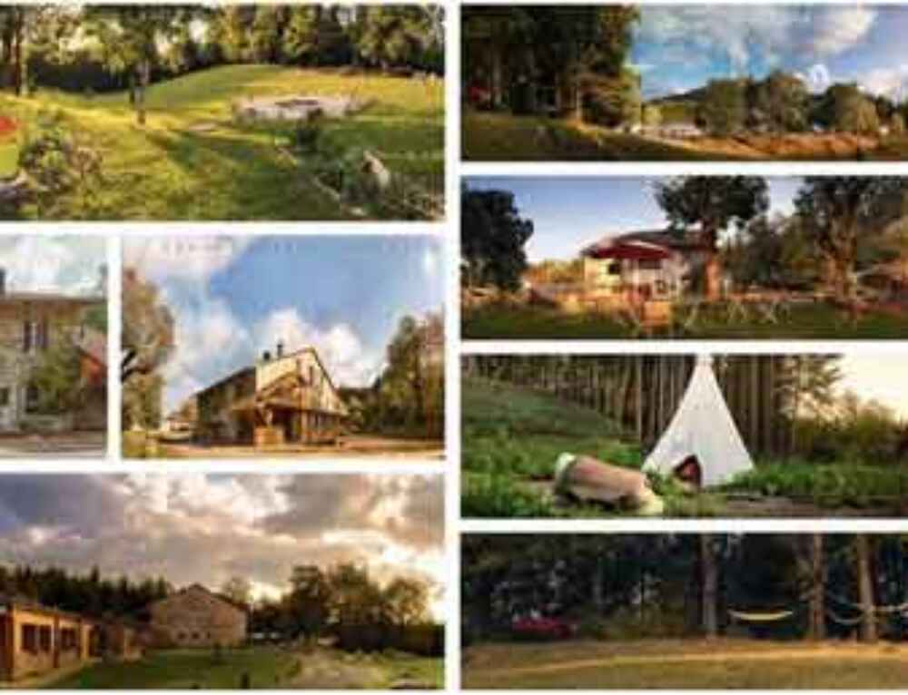 Dance First Member Spotlight on Dr. Birgitte Tan! – Conscious Dancer